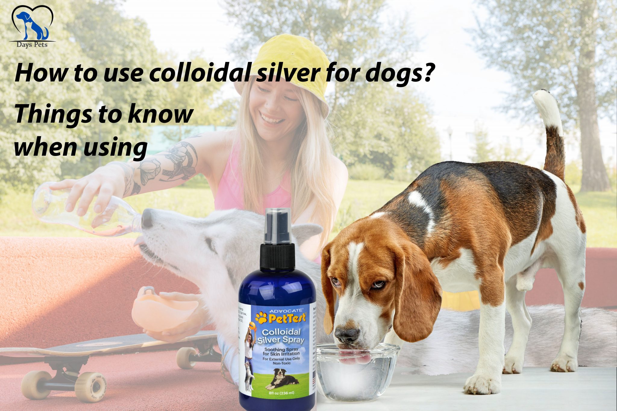 Days Pets - This is a blog about pets. I am an animal and writing ...