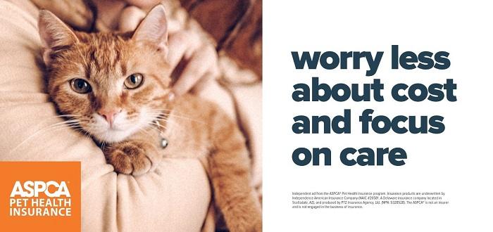 Understanding ASPCA Pet Insurance: A Complete Guide