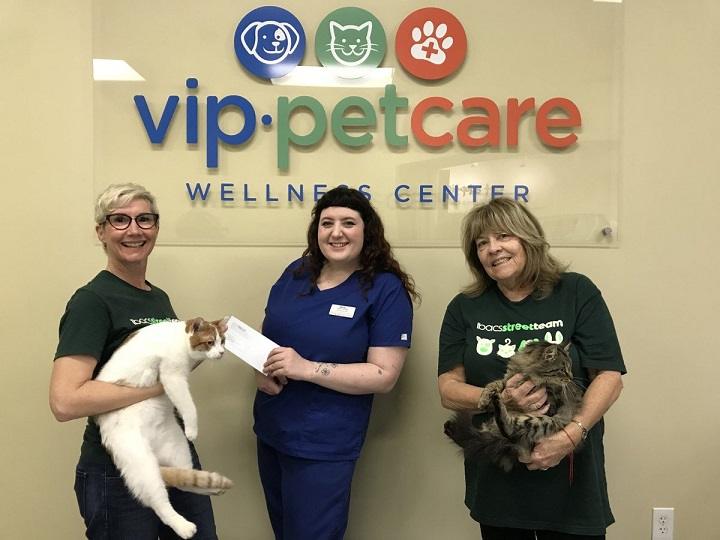 VIP Pet Care: A Luxury Experience for Your Furry Friend