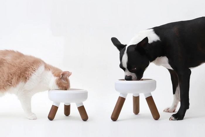 Fun DIY Projects for Pet Feeding Stations